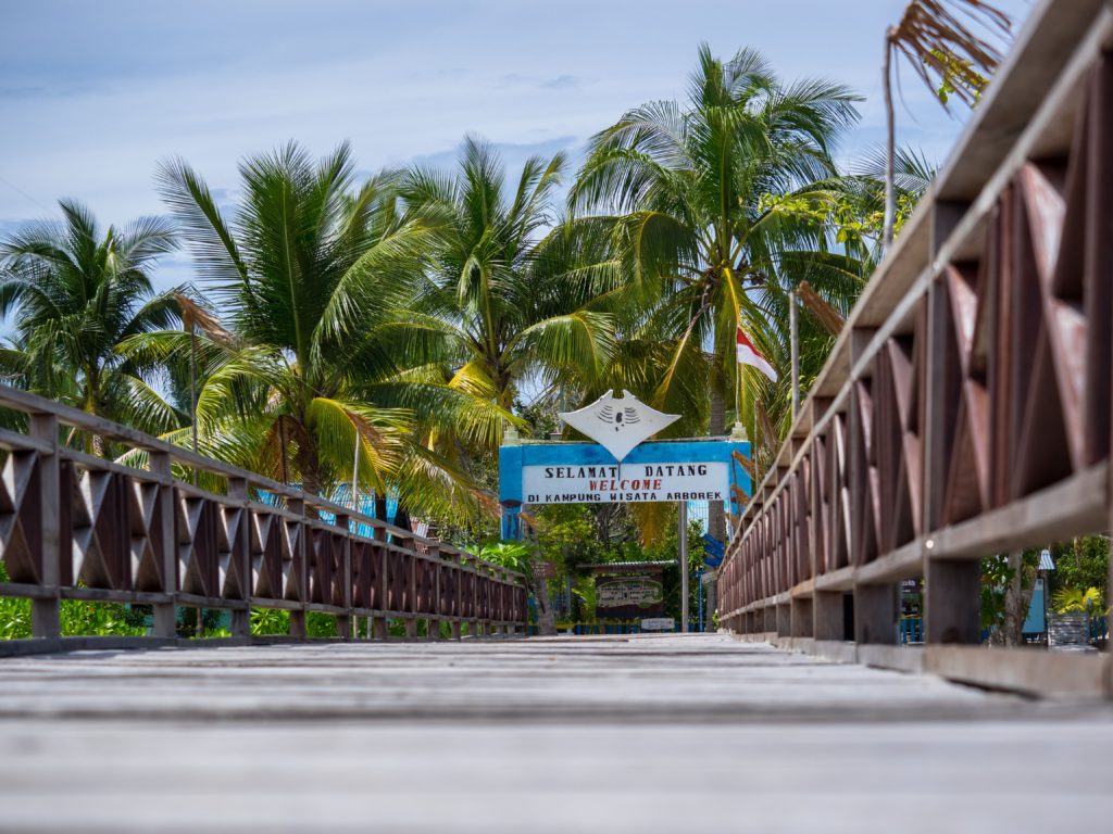 Sightseeing in Raja Ampat - Wayag Island - Arborek village - Jungle Trail